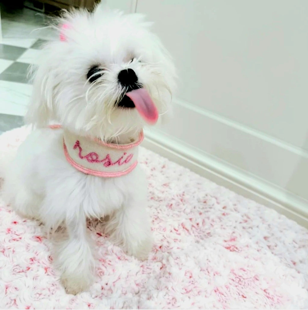 Posh Pups knitwear – Dogs Of Town